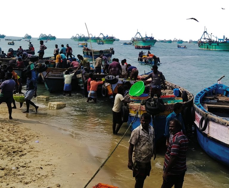 9 lessons from 16 years of groundwork in fisheries – Dakshin Foundation