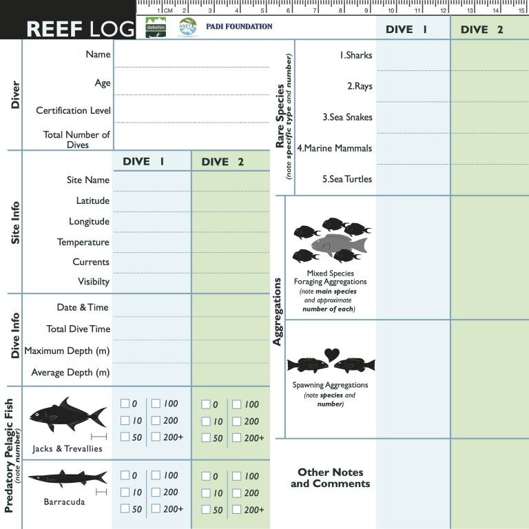 ReefLog: monitoring marine ecosystems – Dakshin Foundation