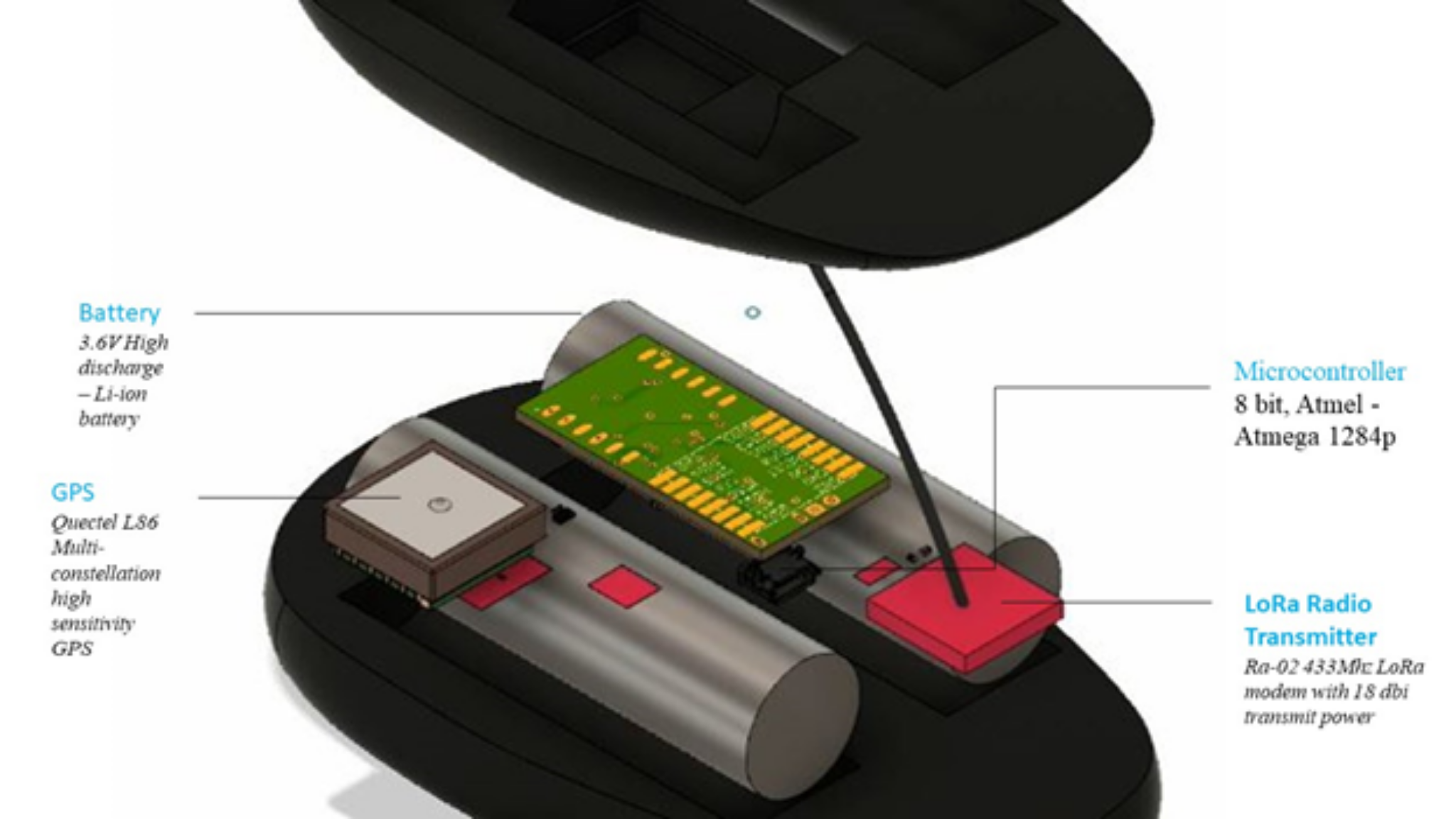 Where do the sea turtles go? A novel system to track sea turtles ...