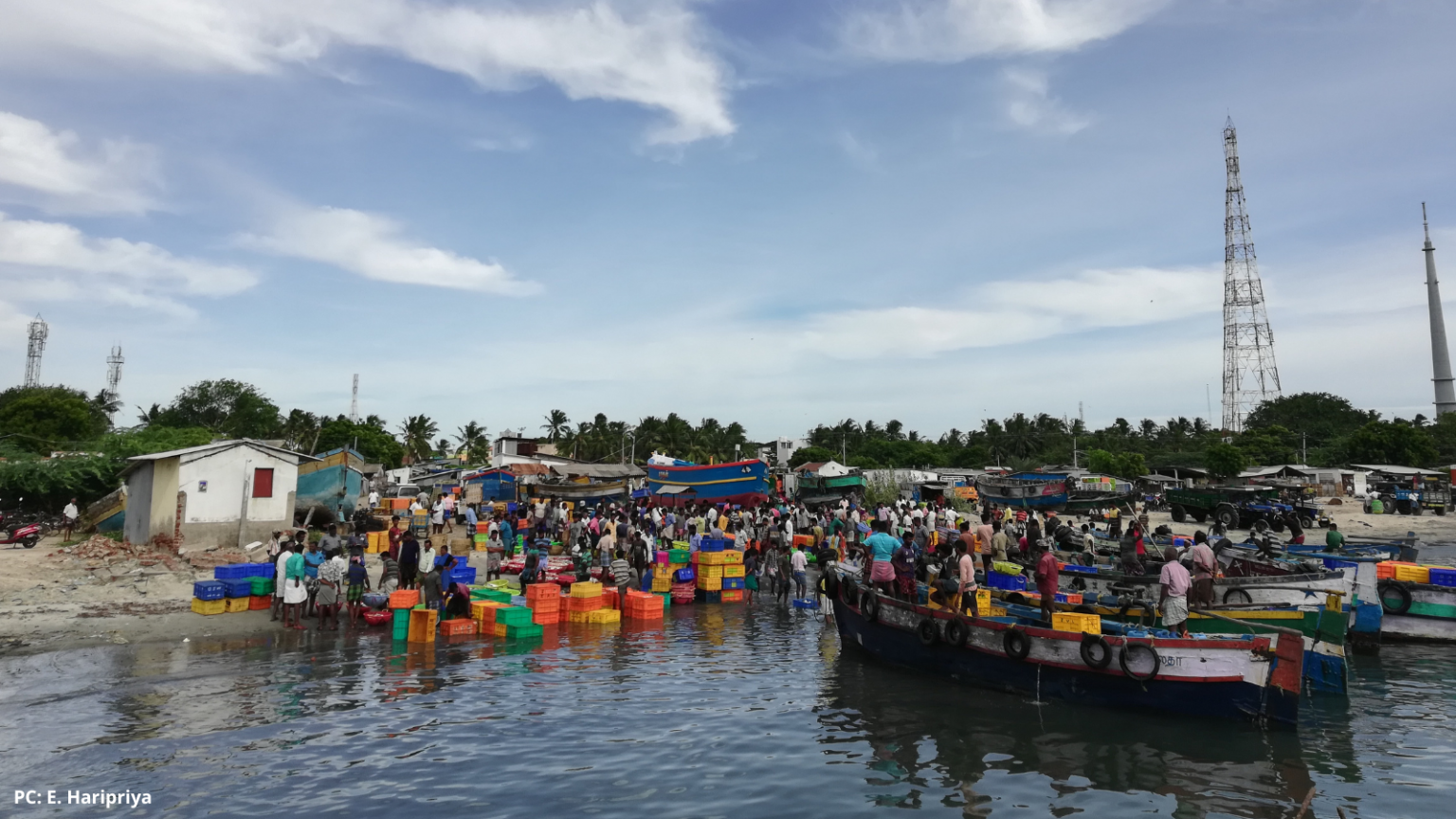 Dakshin’s reduction fisheries project sails to Palk Bay! – Dakshin ...