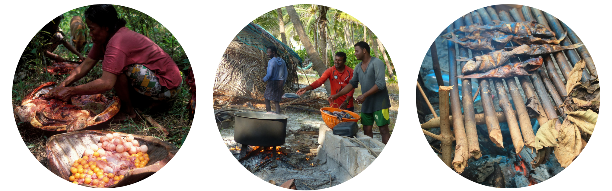 KKLB – Dakshin Foundation