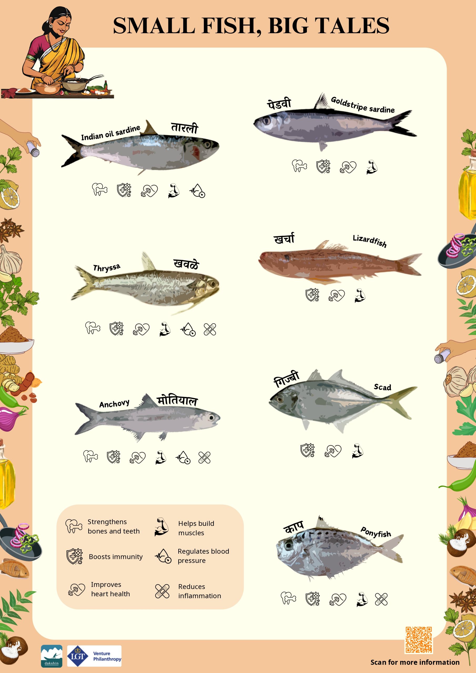 Our SeaChange journey – June 2024 – Dakshin Foundation