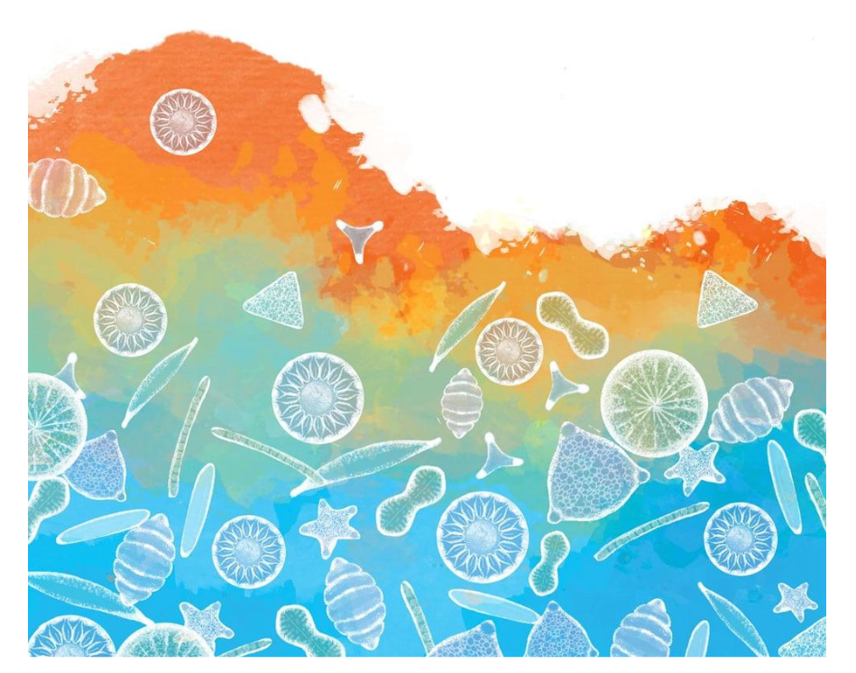 Engaging blue carbon: A climate solution in context – Dakshin Foundation