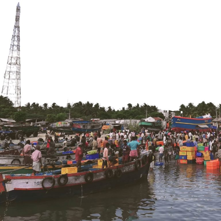 9 lessons from 16 years of groundwork in fisheries – Dakshin Foundation