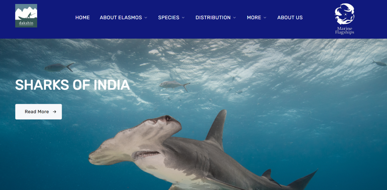 Websites – Dakshin Foundation