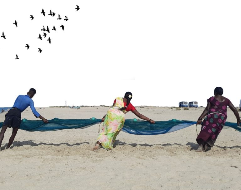 9 lessons from 16 years of groundwork in fisheries – Dakshin Foundation